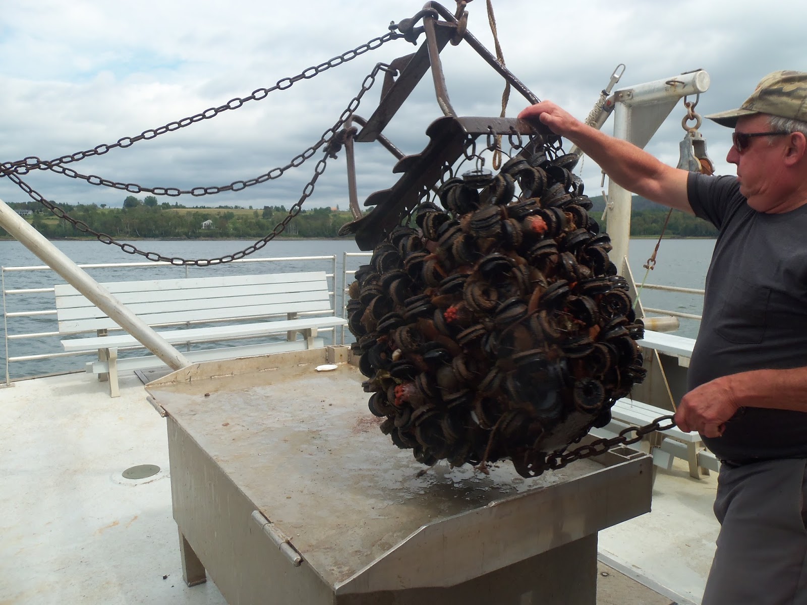 Huntsman Marine Science Centre: Ashbury College - Day 1