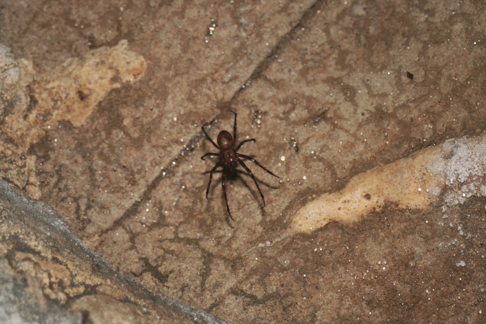 A Three Peaks Up and Under