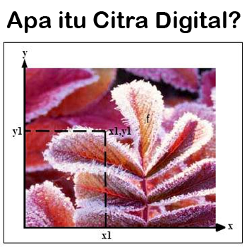 Pengertian Citra Digital