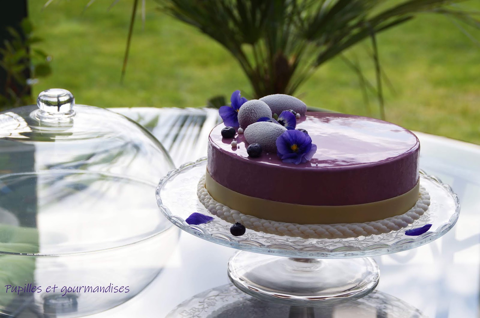 Entremet à la myrtille