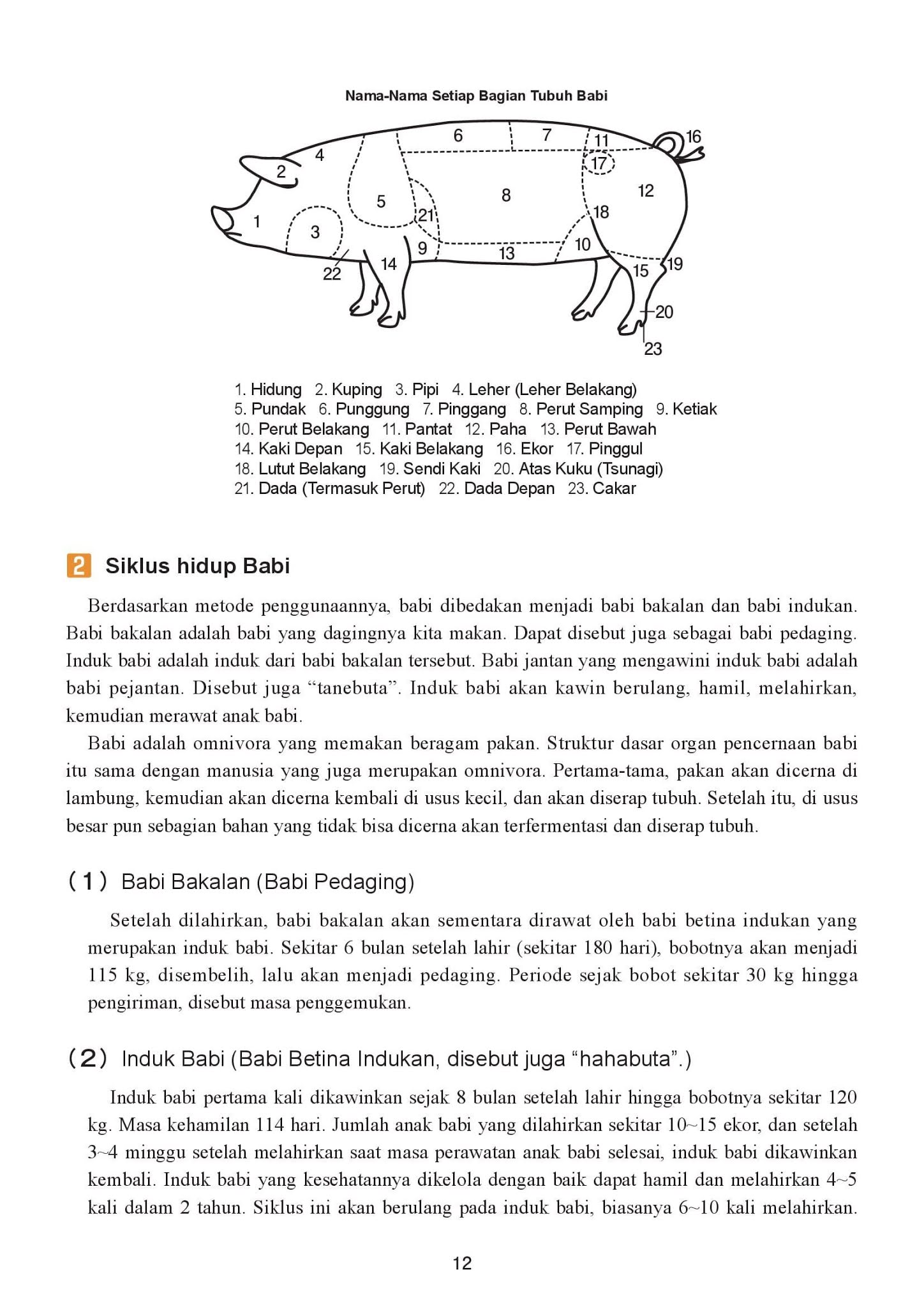 PETERNAKAN BAHASA INDONESIA