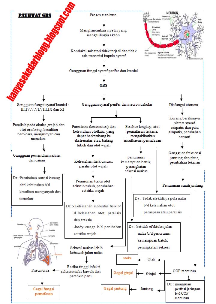 Pathway GBS ( GUILLAIN BARRE SYNDROME)
