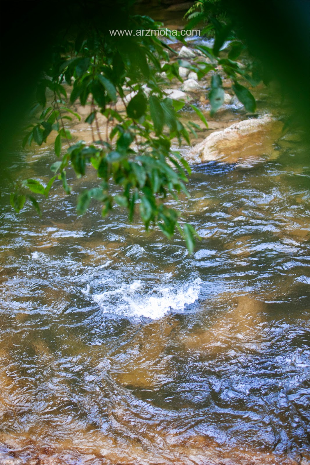 Family Day | Sungai Sedim Part 1