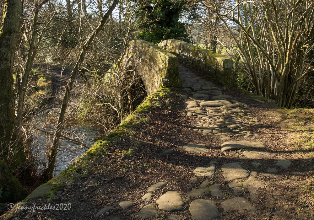 Saltaire Daily Photo: Dob Park bridge