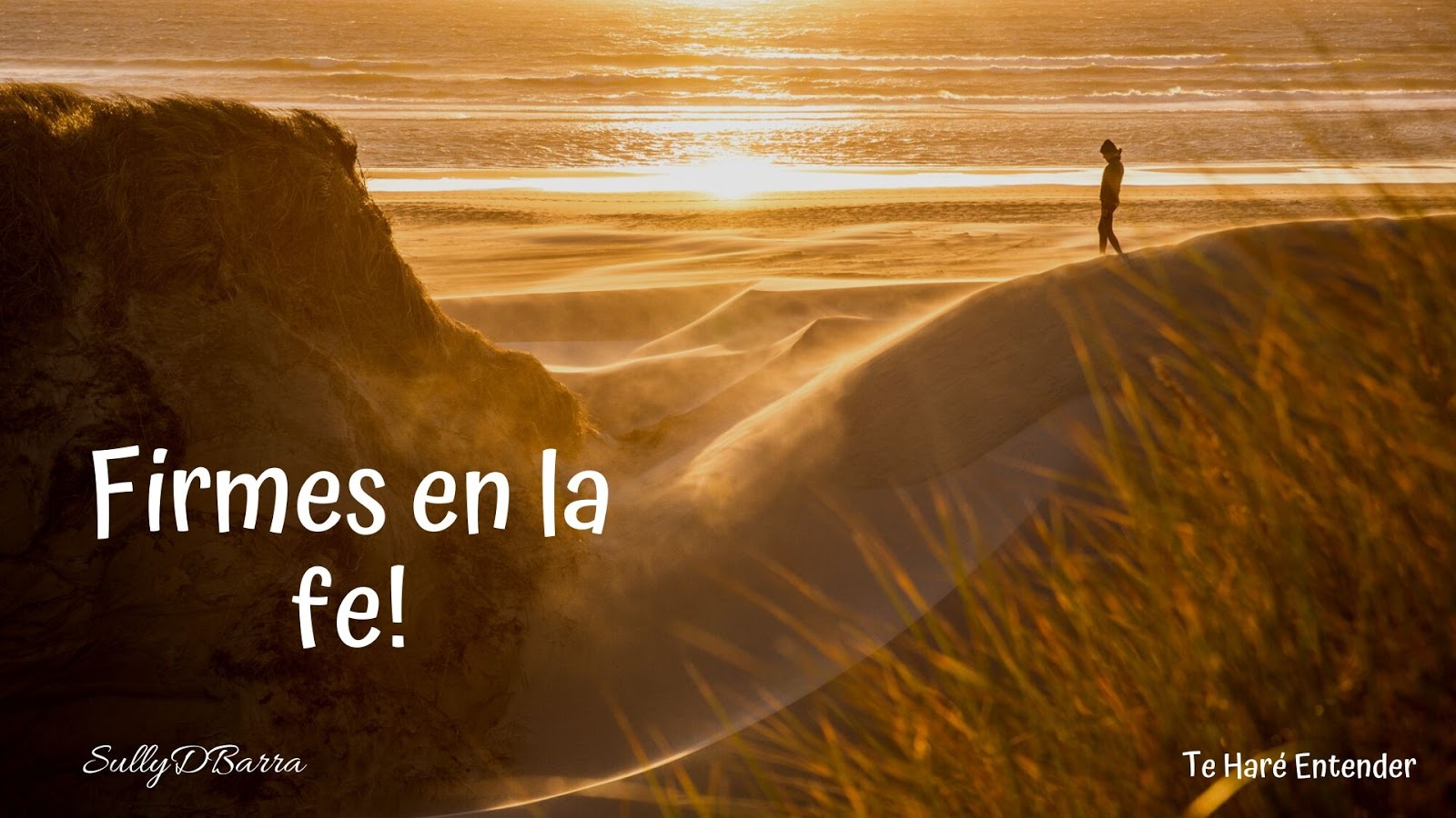 Te Haré Entender...: FIRMES EN LA FE!