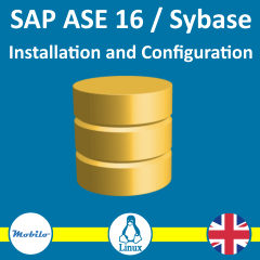 Sybase / SAP Adaptive Server Enterprise: Sybase 16/ SAP ASE ...
