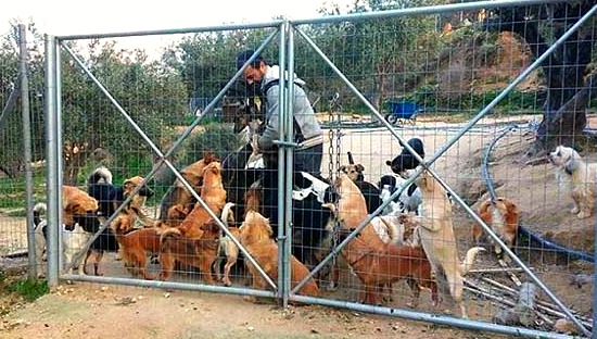 Καλές Ειδήσεις - Good News: ENAΣ ΚΡΗΤΙΚΟΣ ΟΔΟΝΤΙΑΤΡΟΣ ΦΡΟΝΤΙΖΕΙ 200 ...