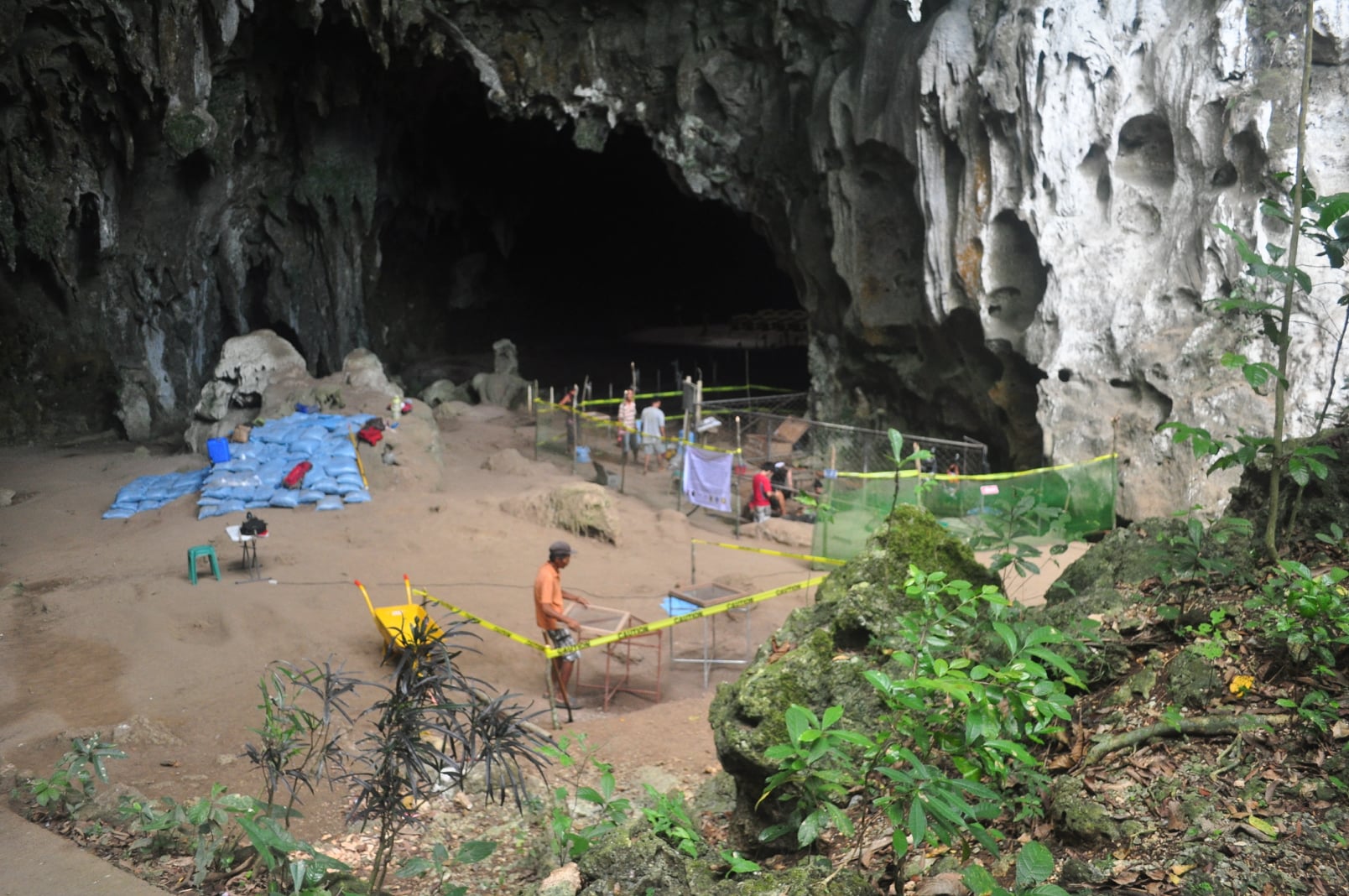 Species New to Science: [PaleoMammalogy • 2021] Crateromys ballik ...