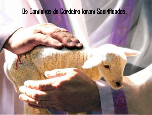 Os que Seguem o Cordeiro