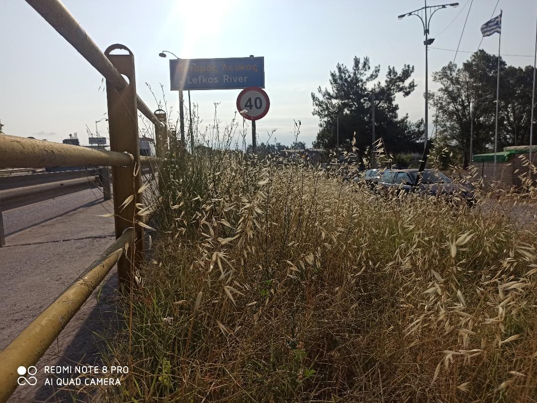 ΛΕΥΤΕΡΙΑ: ΤΑ ΔΕΟΝΤΑ ΑΠΟ ΤΗΝ ΕΜΠΟΡΟΠΑΝΗΓΥΡΗ ΚΑΤΕΡΙΝΗΣ ΣΤΟΝ ΔΗΜΑΡΧΟ ΚΑΙ ...