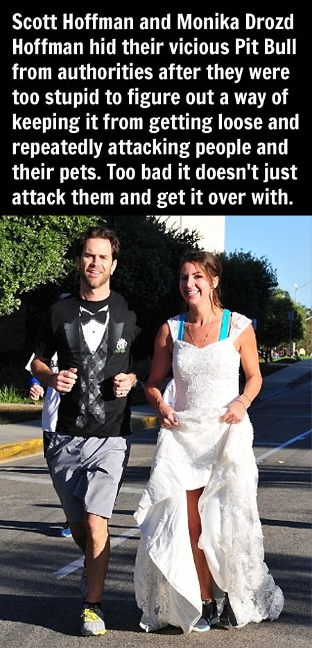 Four legged friends (and enemies): California: Monika Drozd Hoffman and ...