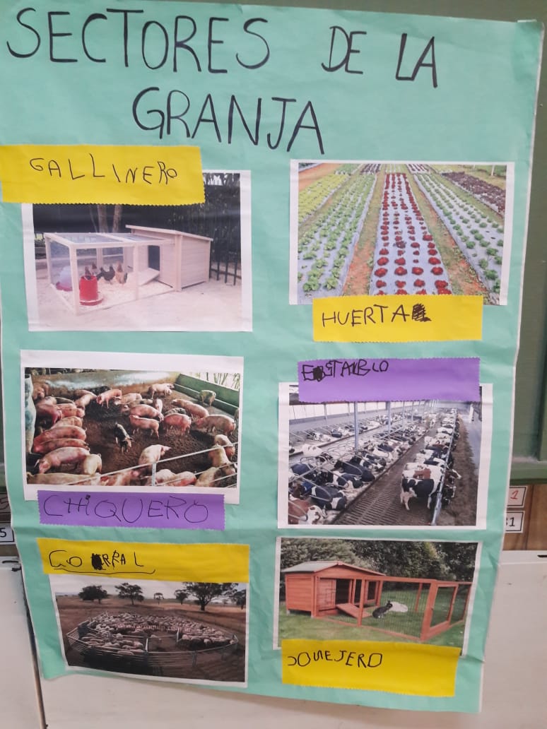 Corazón de tiza: Proyecto: "Conociendo la granja, los animales y los ...