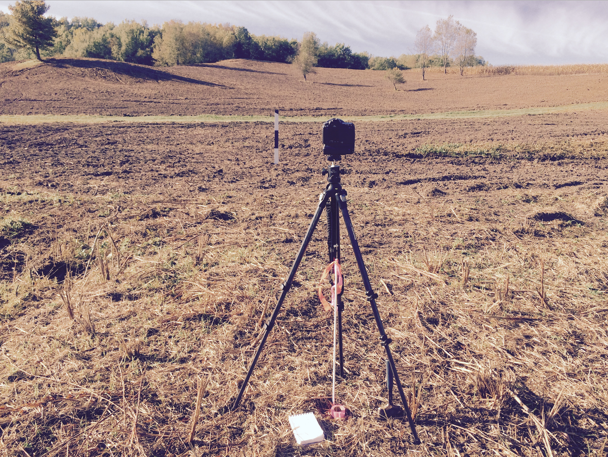 Wildlife Technician: Wildlife Technician