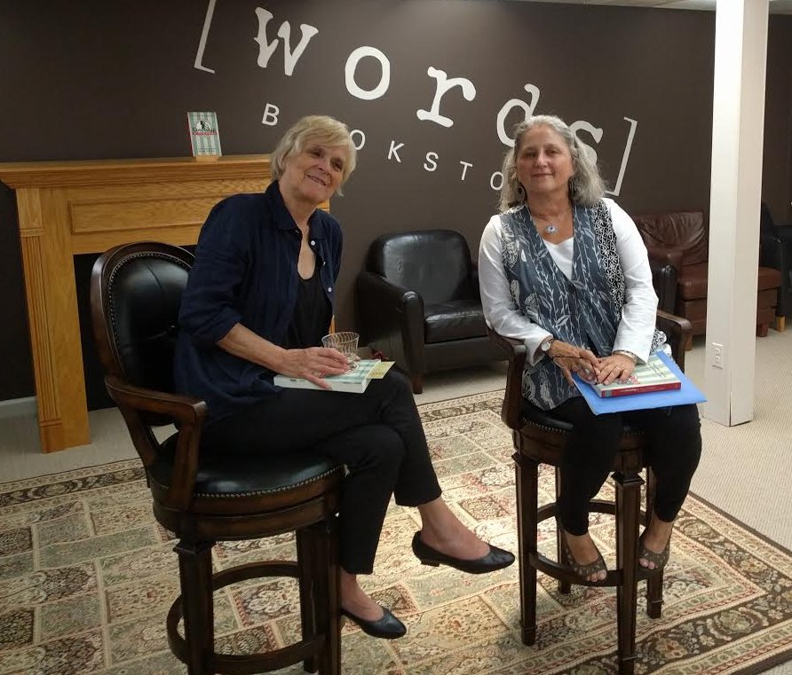 Meredith Sue Willis: Interviewing Diane Simmons about her new book