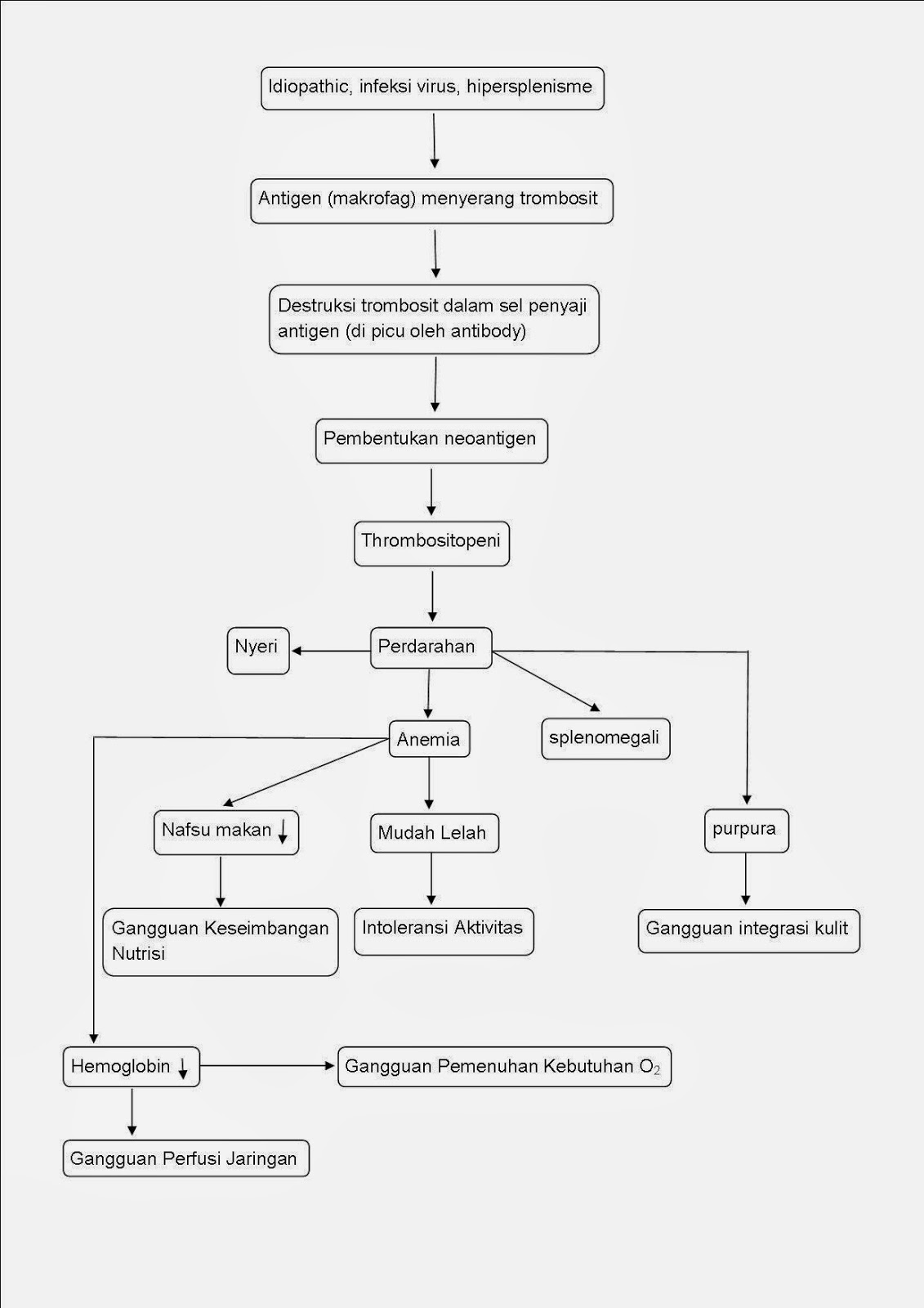 SISTEM IMUN HEMATOLOGI: ASUHAN KEPERAWATAN PADA PASIEN ITP (IDIOPATIC ...
