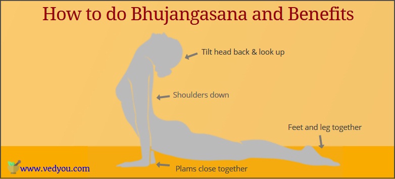 How to Do Bhujangasana and benefits ~ Ayurveda Gyan | Ayurvedic ...