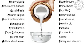 Good Food Items That Are Healthy For Your Life - Health and Wealth