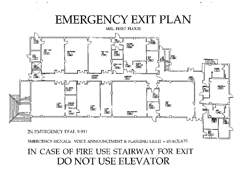 Emma Zen The Biker Dog: Emergency Exit