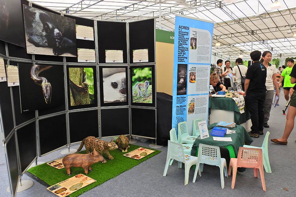 Butterflies of Singapore: Festival of Biodiversity 2016