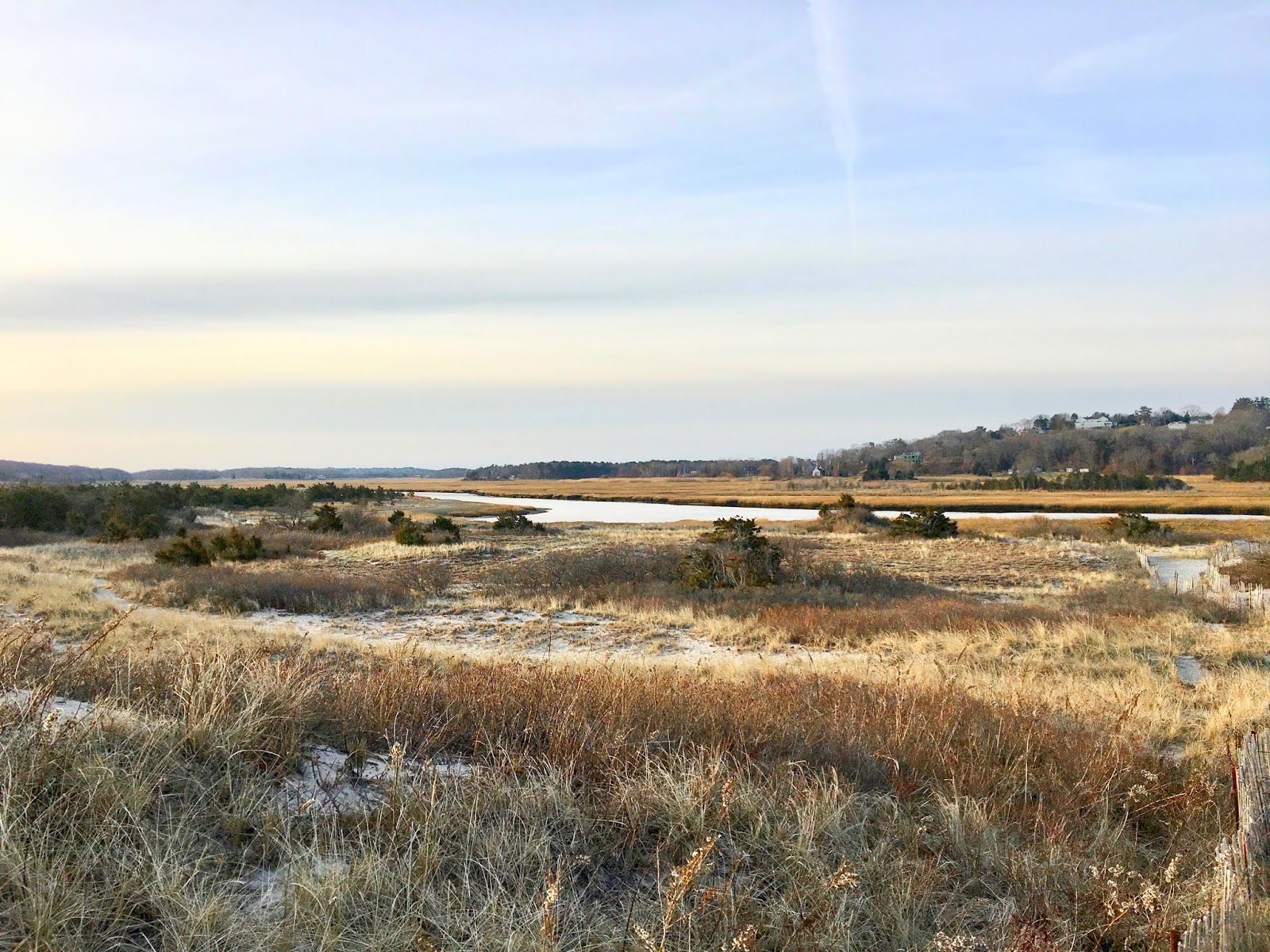 Nature: Nature Walks in Marshfield: 18 Places to Explore