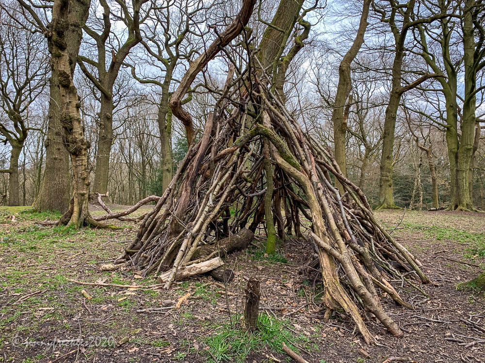 Saltaire Daily Photo: A den in the woods