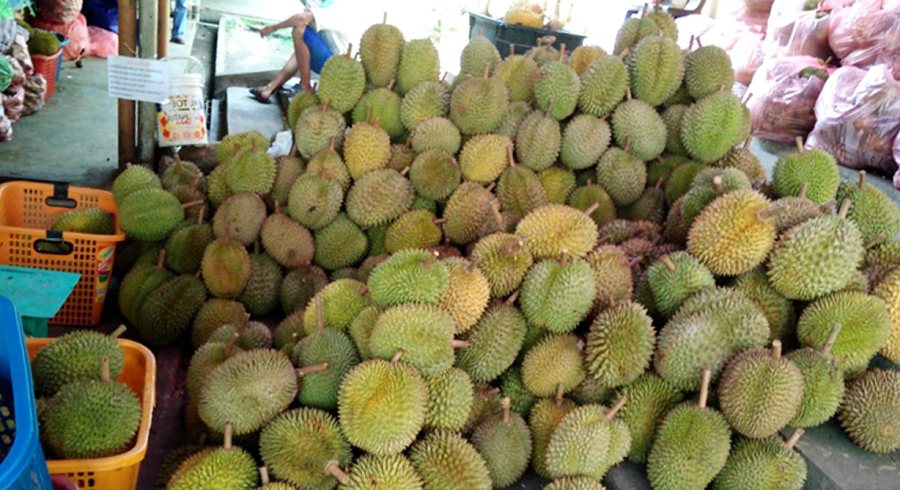 Mengapa Harga Durian Mahal