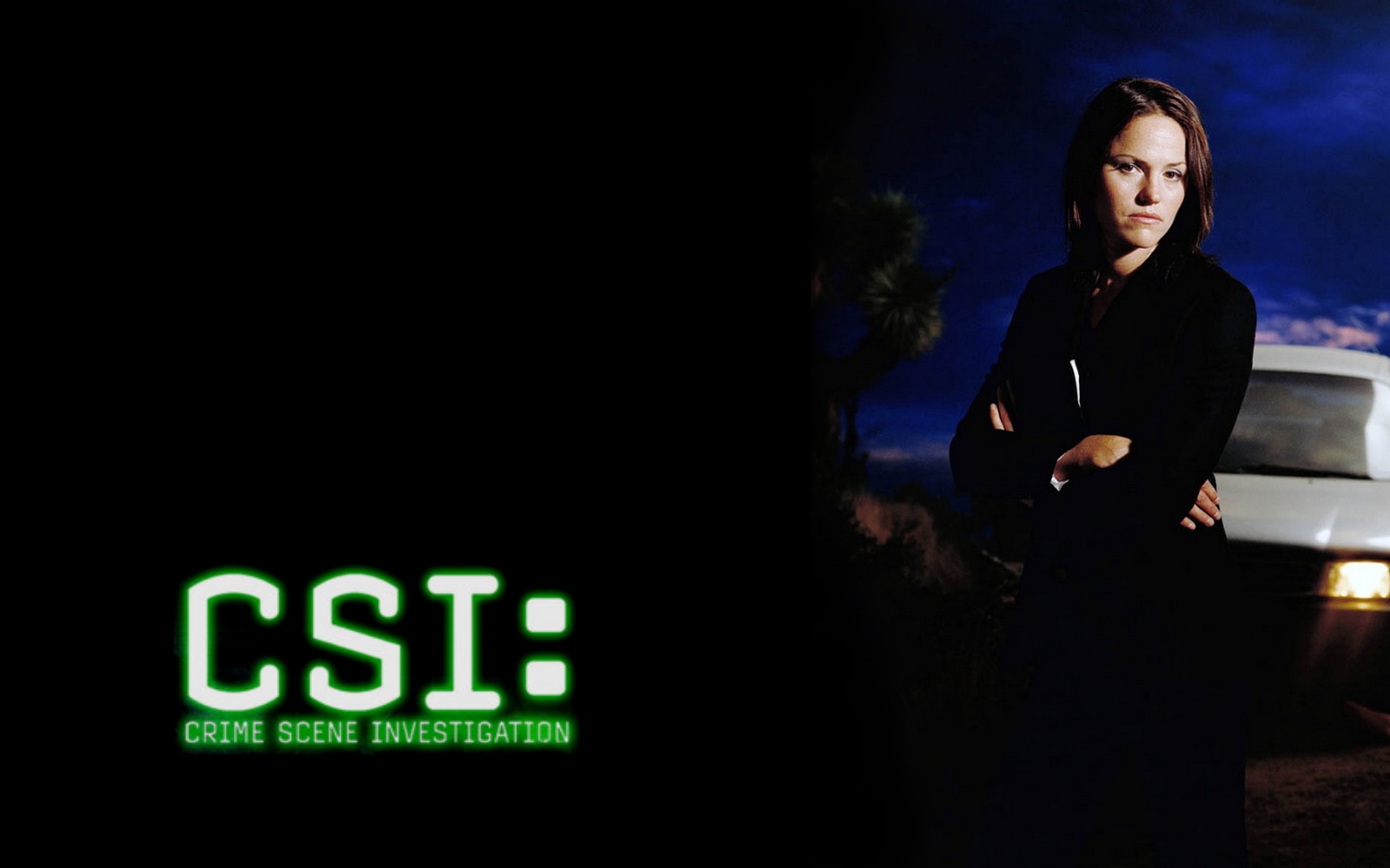 Filmovízia: CSI - Crime Scene Investigation [2000-2011]