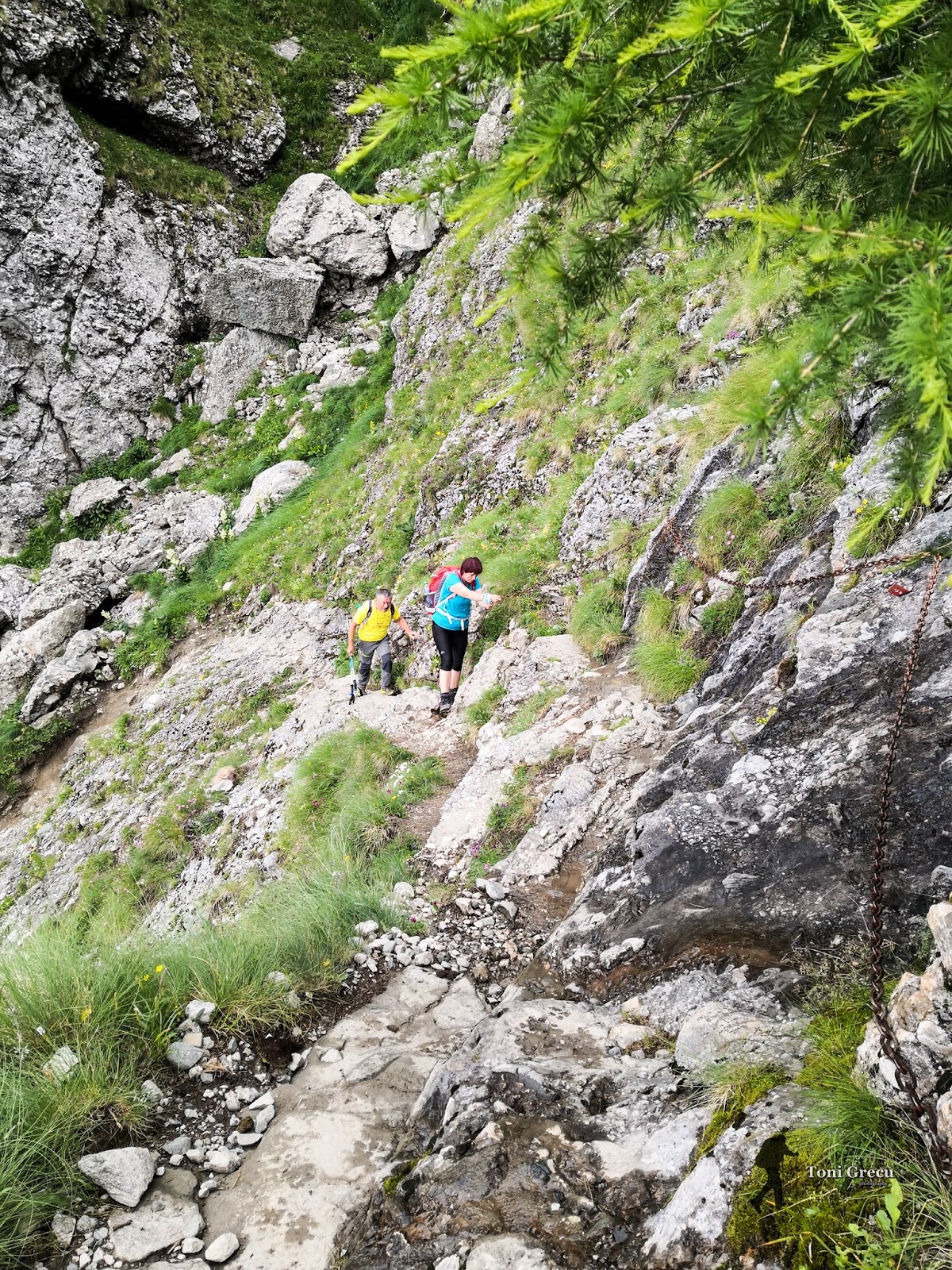 Jepii Mici - Brana Caraiman - Vf.Omu - Vf. Bucsoiu - La Prepeleac ...