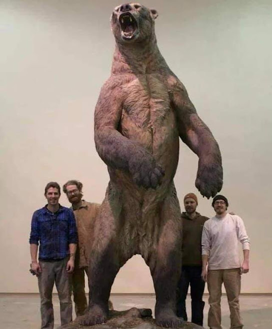 daily timewaster: The size of the Giant Short-faced Bear