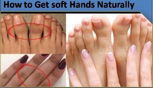 How to Get Soft Hands Naturally With Ten Easy Homemade Remedies - Look ...