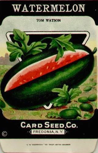The Promise of Seeds: Magic in a Packet: Watermelon Seed Packets ...