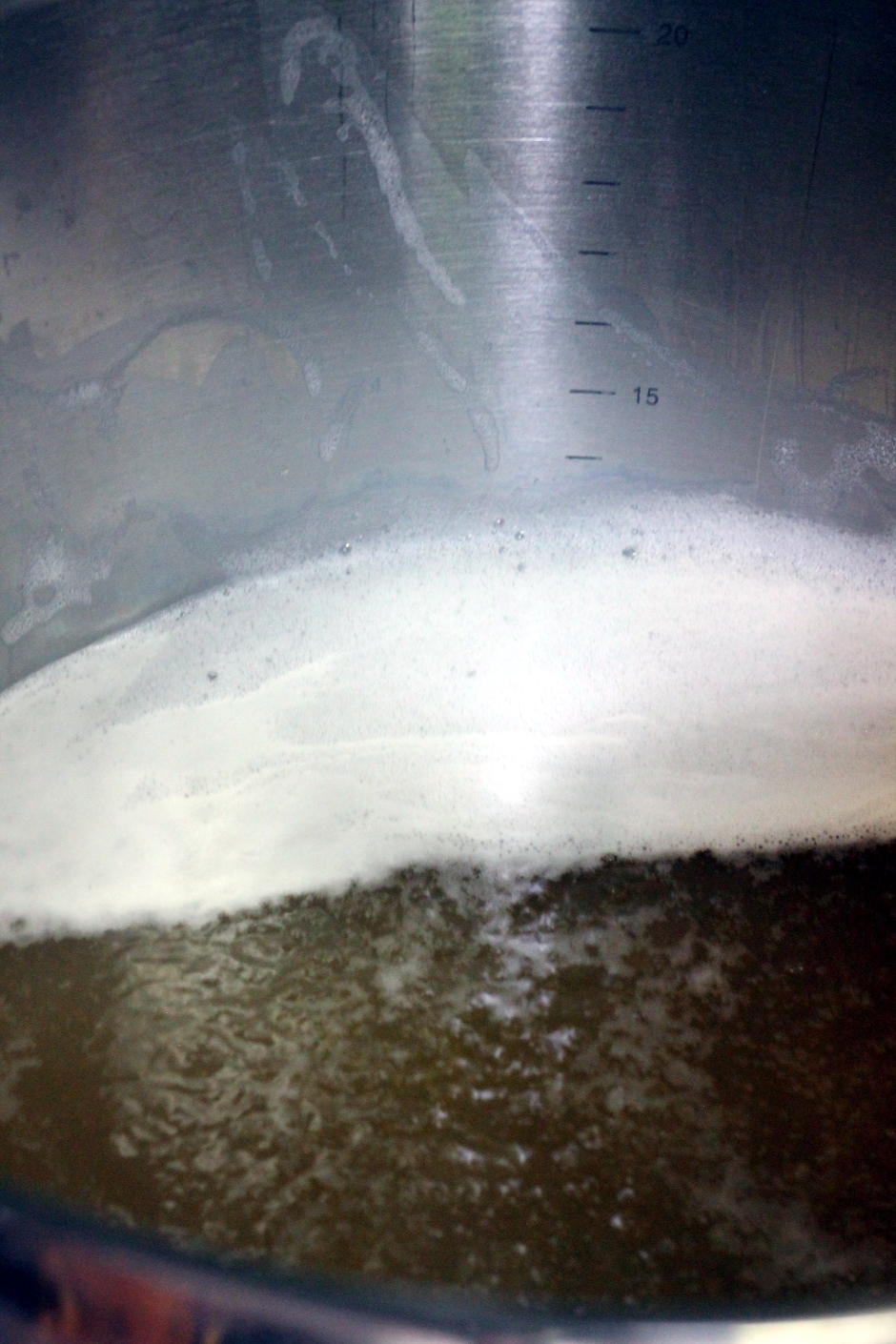 The Mad Fermentationist - Homebrewing Blog: Minimal Sparge: An Easier ...