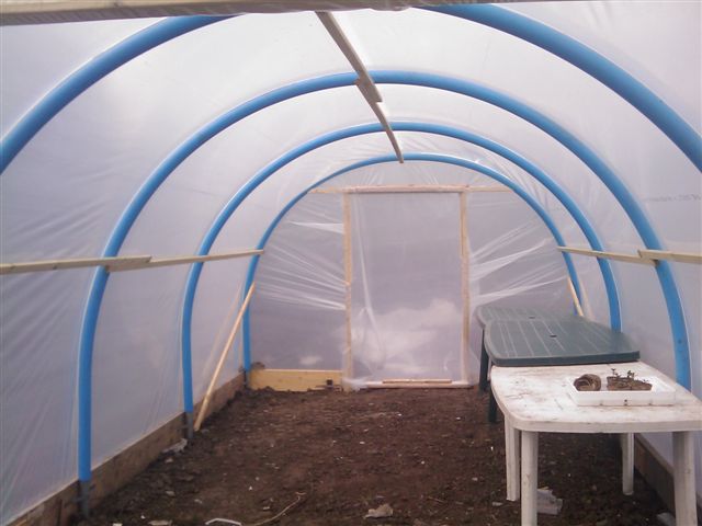 PAULS ALLOTMENT DIARY: Build Your Own Poly Tunnel