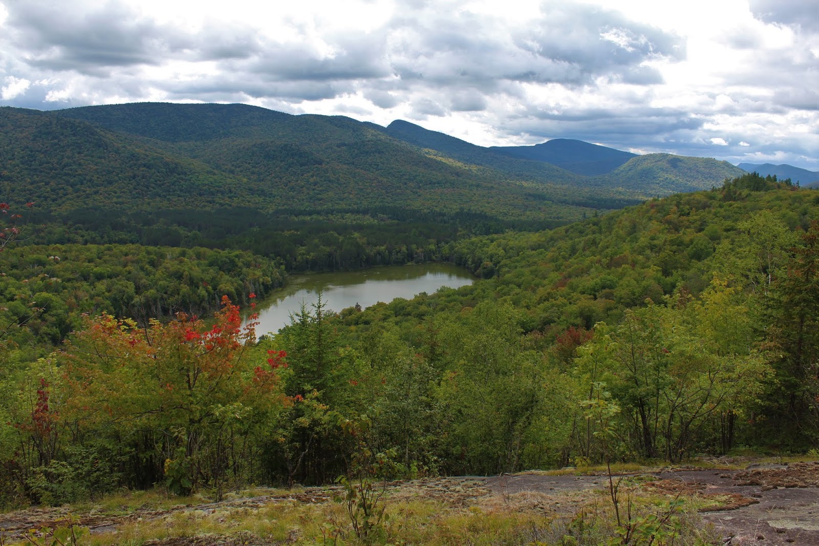 Walking Man 24 7: John Pond Ridge(Siamese Ponds Wilderness-Adirondacks)