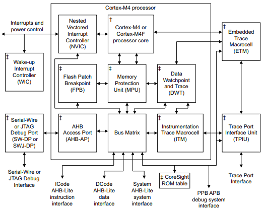 Project [Electronics-Development-Programming]