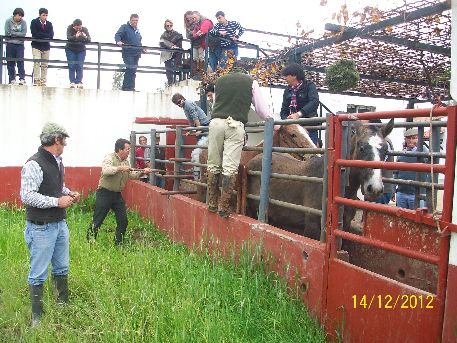 Blog Taurino Remellao : HERRADERO EN LOS BARRIOS