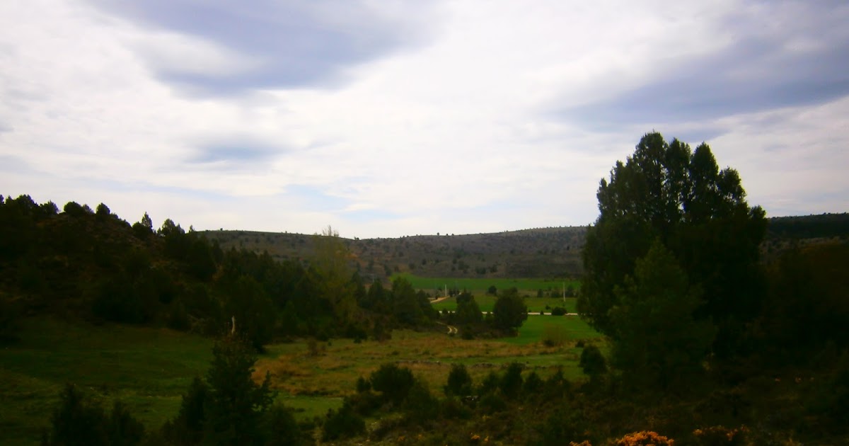 El Rento de los Agallanes, en Campillos Sierra