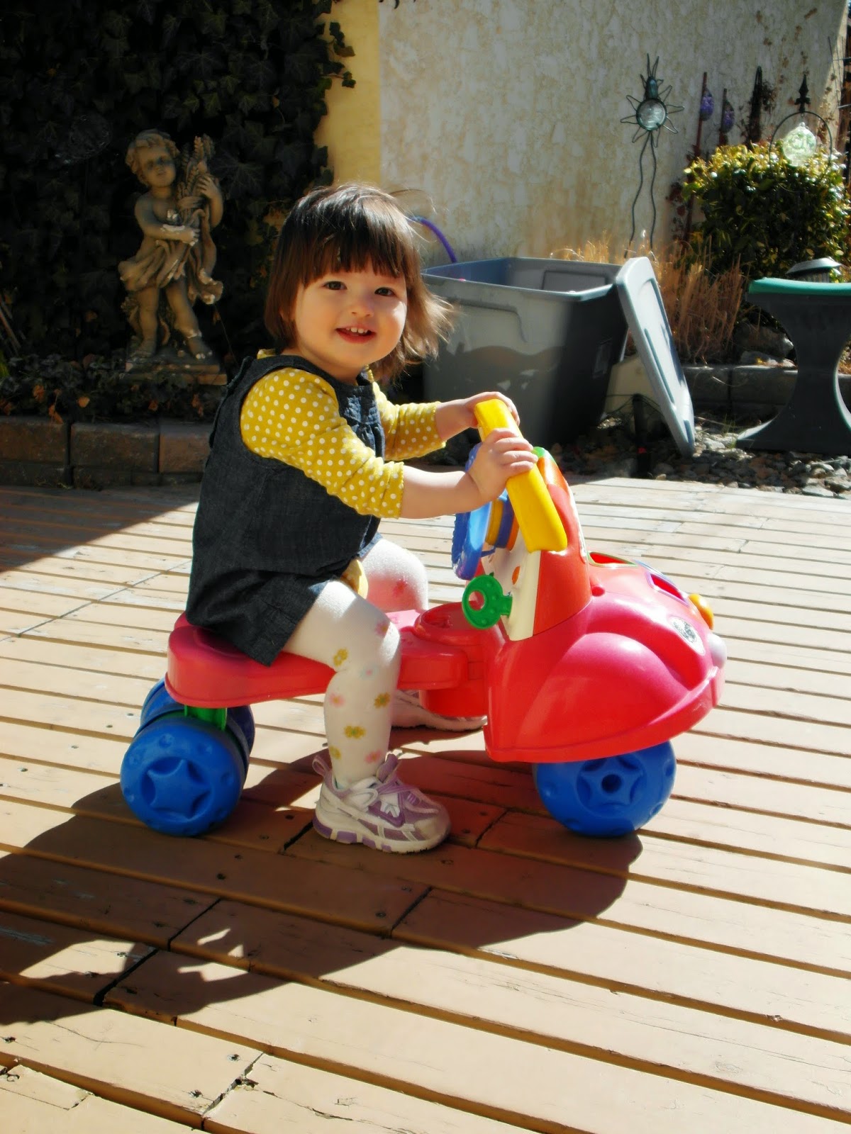 Crockpot Pulled Pork Sandwiches – Honeybears & Sydneybeans