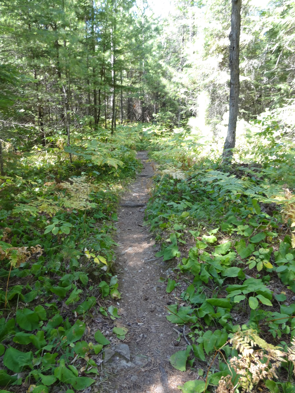 Paul & Tara Visit the National Parks: Voyageurs National Park