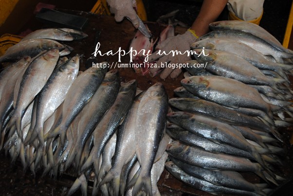 h.a.p.p.y*u.m.m.i.: ikan terubuK sarawak..