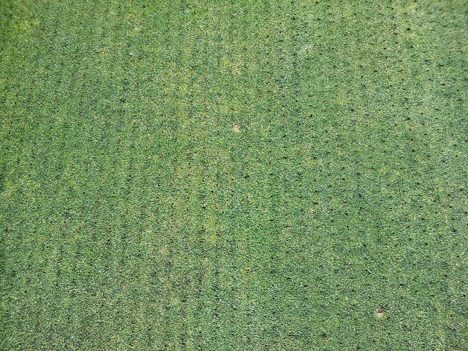 AirwaysGCM: Solid Tine Aeration