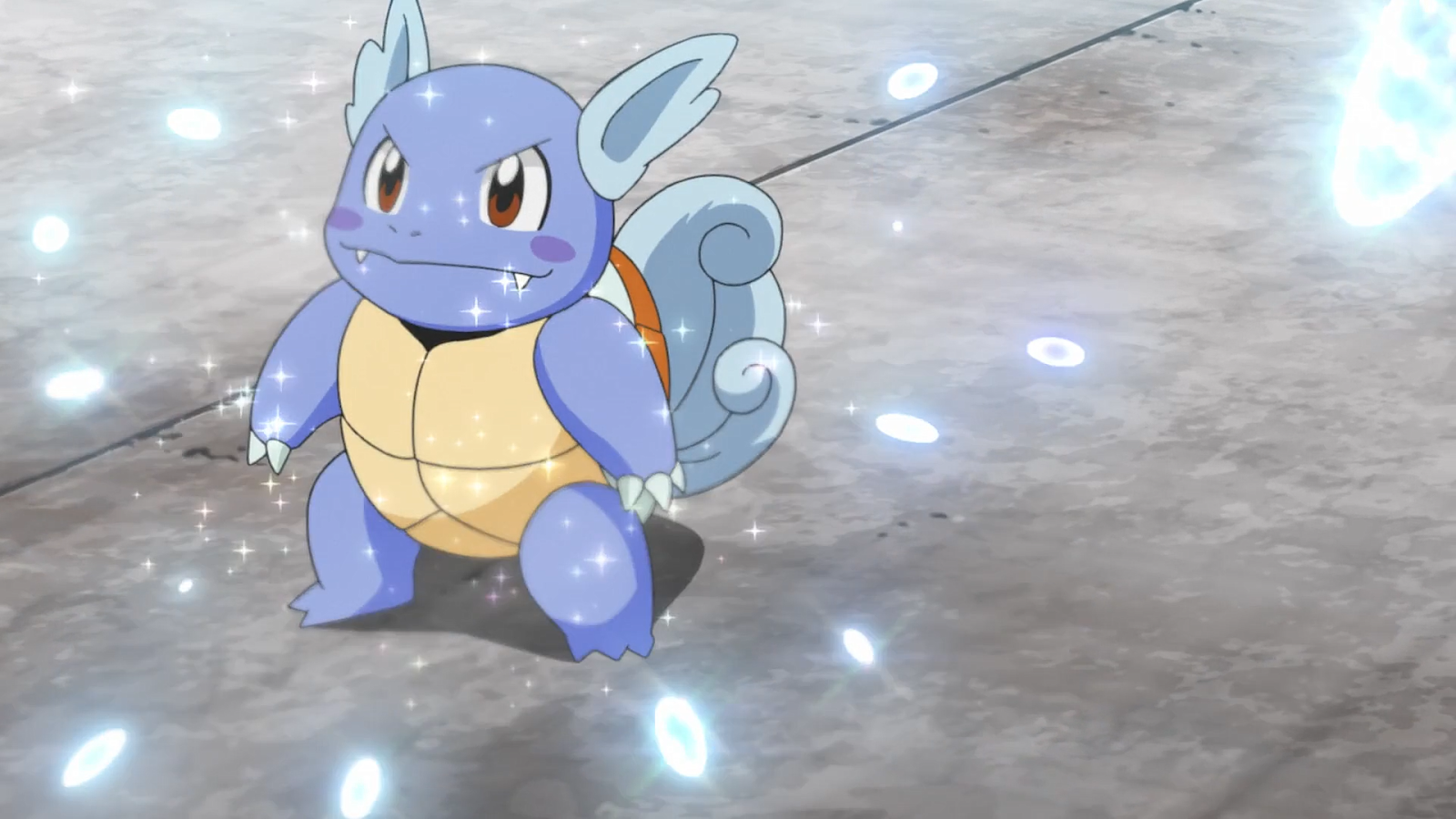 Poké-Arquivo: 008 - Wartortle ~ PMD || Acervo de Imagens de Digimon e ...