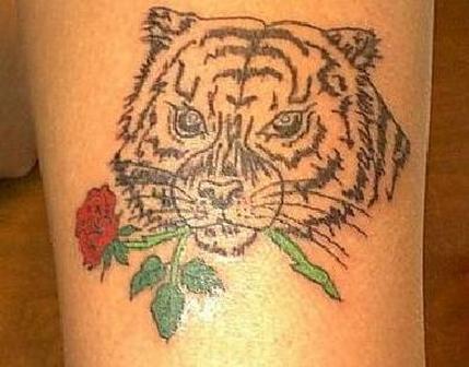 Awesome Tiger Tattoo with a Red Rose ~ TATTO69