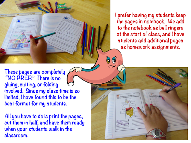 Amy Brown Science: Digestive System Interactive Notebook Pages and Bell ...