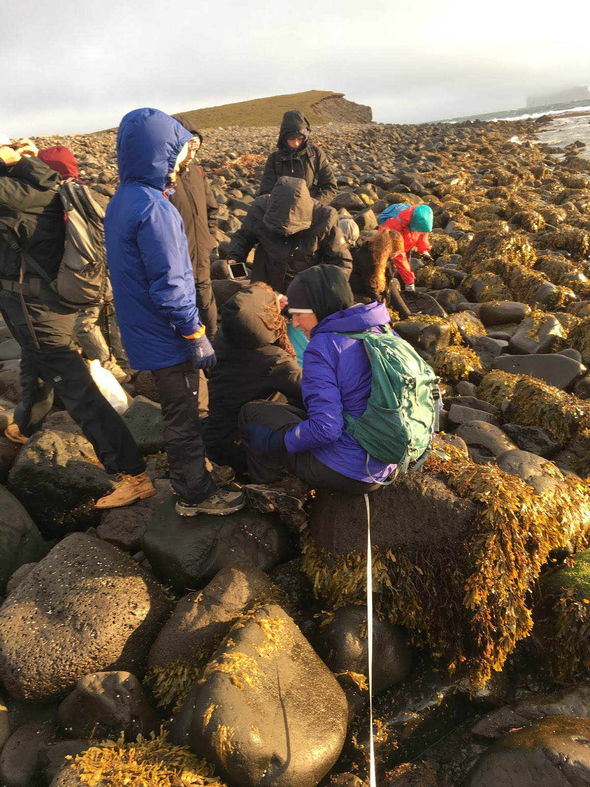 Em's Bench: Iceland Ecosystems and Fieldwork