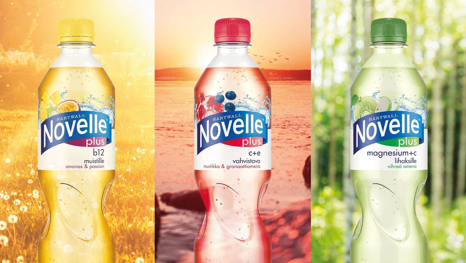 Novelle – Packaging Of The World