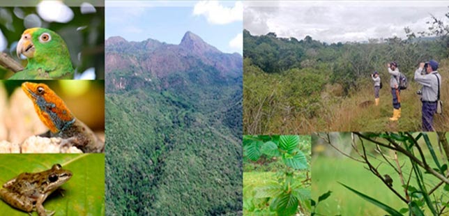 Educacion Ambiental: Una aproximación al ecosistema de Bosque Seco ...
