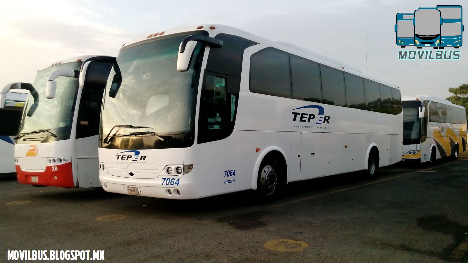 Fotos de los autobuses de la flota de Transporte Especializado de ...
