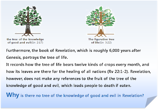DECODING THE TREE OF LIFE IN THE BIBLE