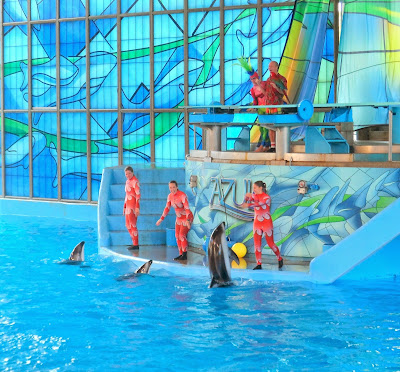 Spectacular Experience at SeaWorld and Aquatica, San Antonio ~ The Dias ...